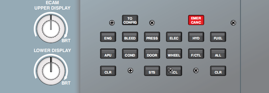 Aircraft Electronic Flight Information Systems