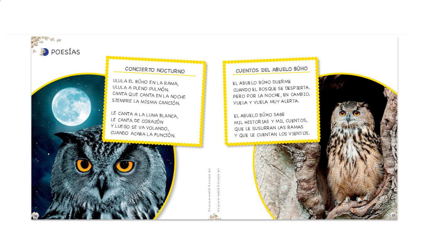 LECTURA DEL CUENTO: POR QUÉ EL BÚHO SOLO SALE DE NOCHE?