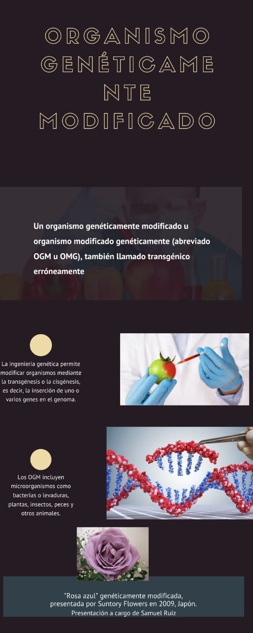 Genoma Humano, Organismo Genéticamente Modificados, Terapia Genética