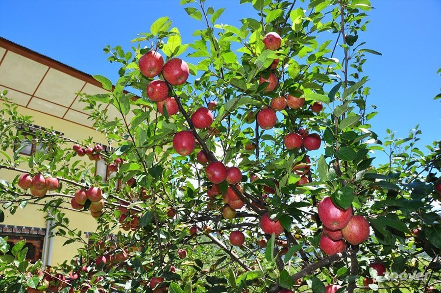Bhutan | Beautiful Places