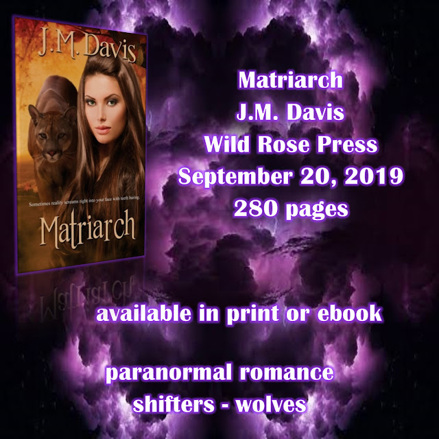 Stormy Vixen's Book Reviews: New Release Review! Matriarch by J.M. Davis!