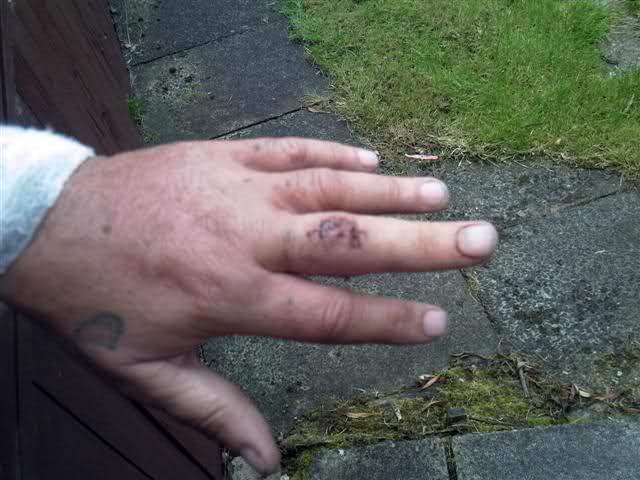 Monster Fish: WEEVER FISH