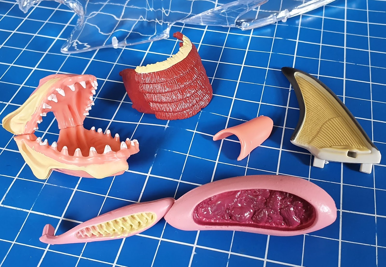 The Brick Castle: Discovery Mindblown 4D Shark Review and Giveaway Age ...