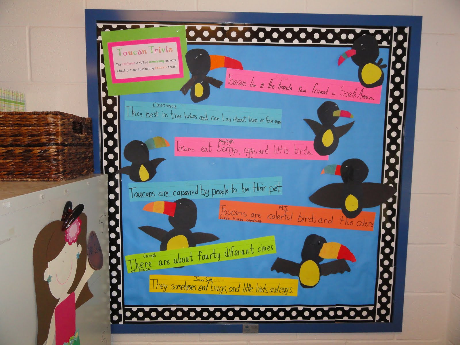 Sweet Tea & Mosquitoes: Toucan Trivia