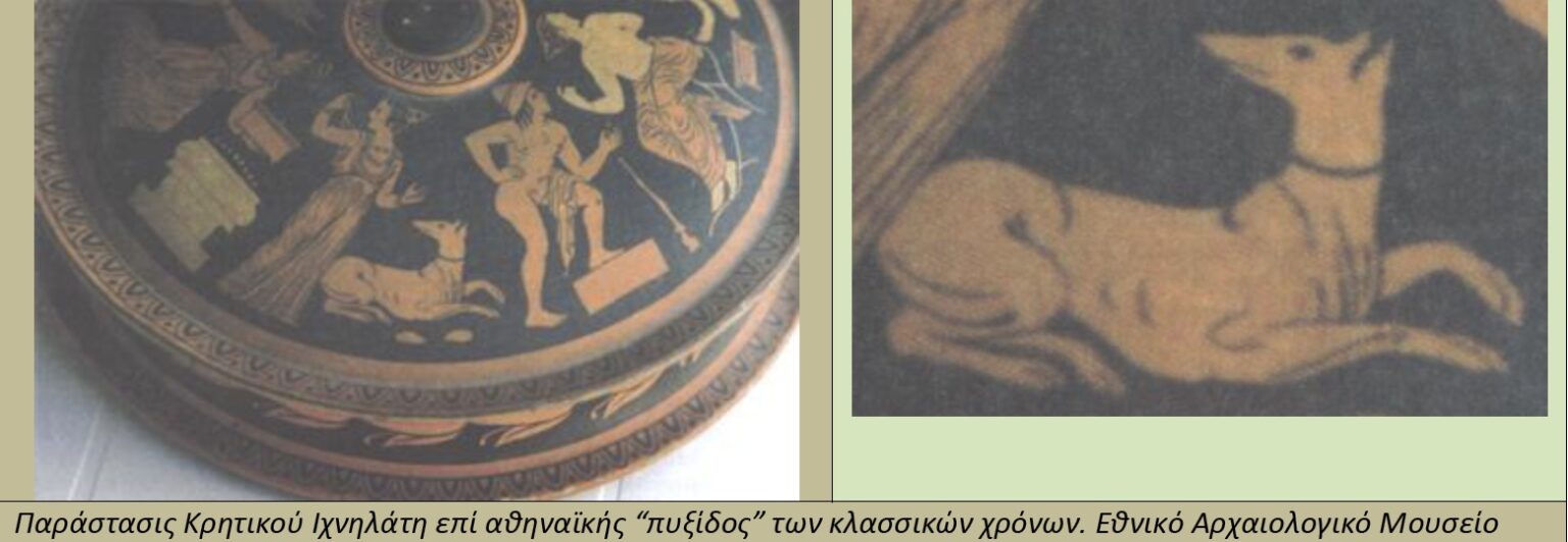 ΤΩΝ ΙΔΕΩΝ: Αρχαιες ελληνικες φυλες κυνων