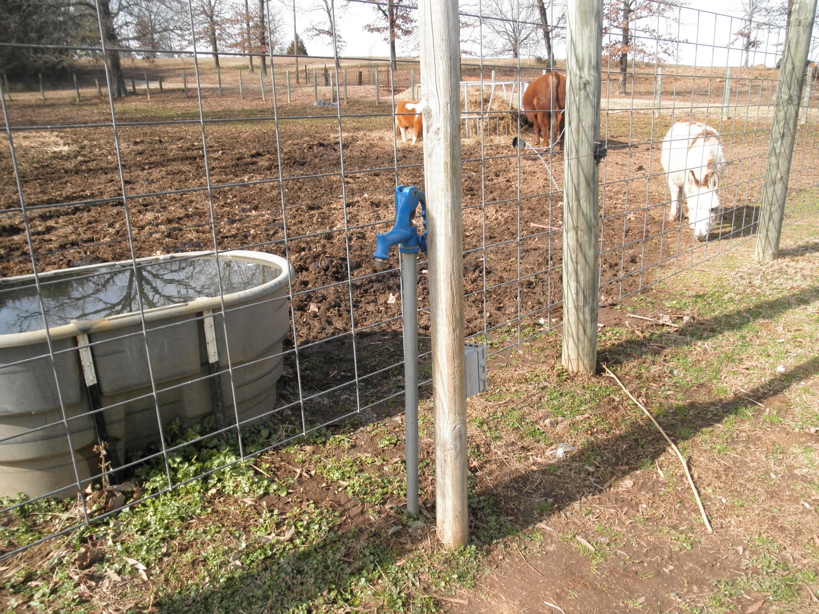 Harmon PFarms: FARM TIP: Spigots In Winter