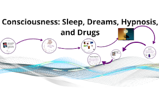Learn About Real Facts of Consciousness & Sleep in Detail and Examples ...