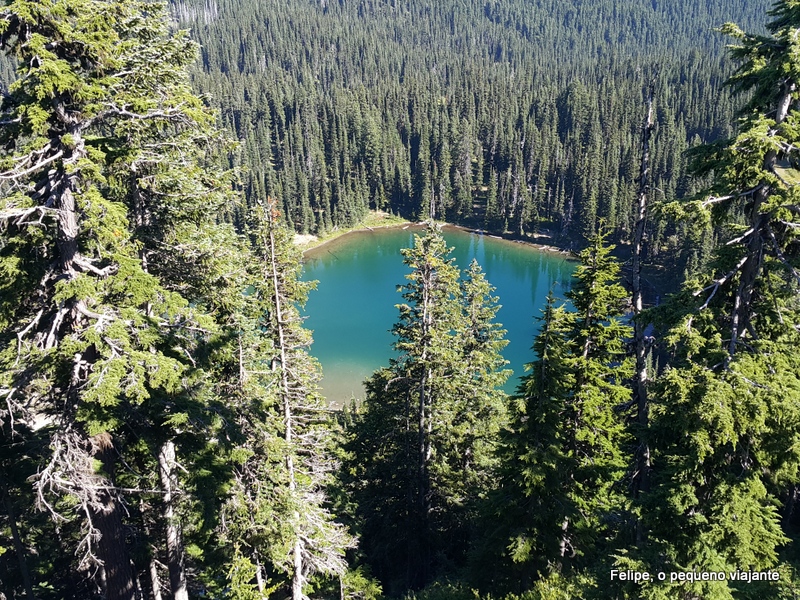 Mt. Rainier National Park, em Washington State, Estados Unidos - modo ...