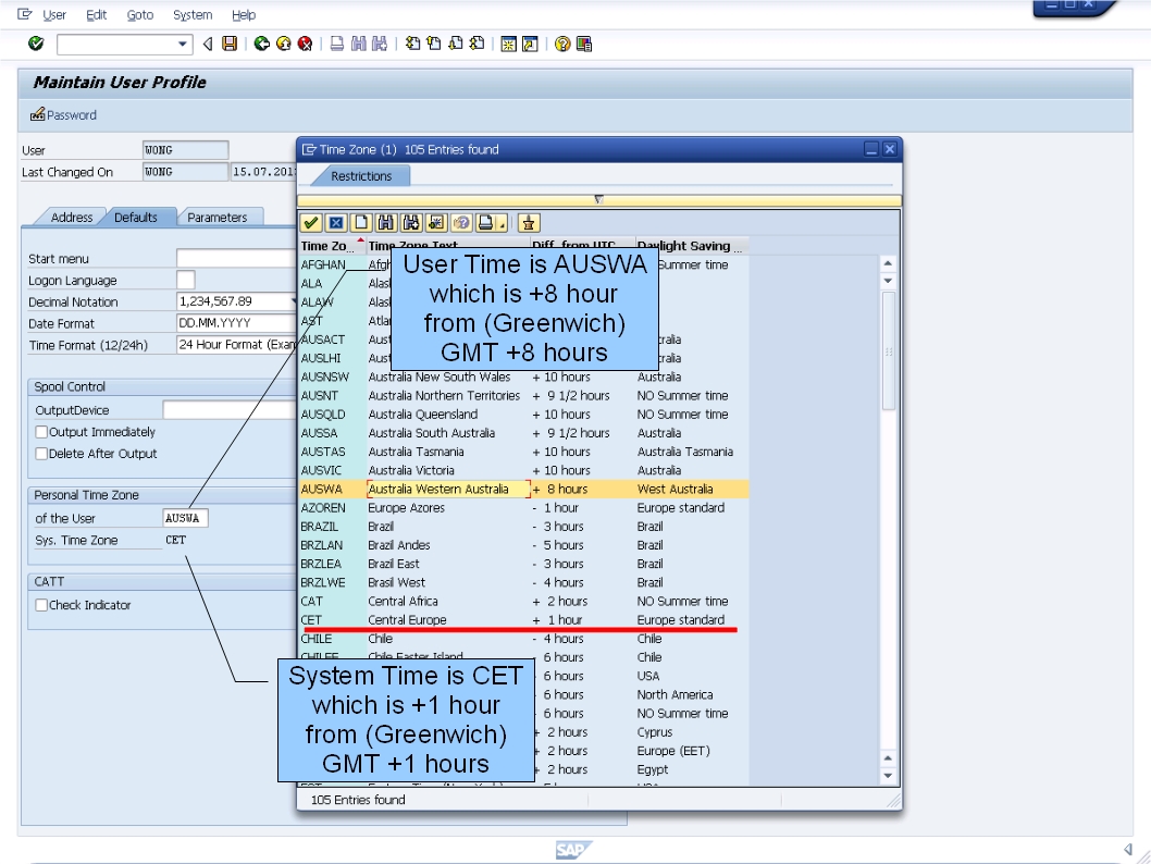 青蛙sap分享 Froggys Sap Sharing N10 User Time Zone Setting