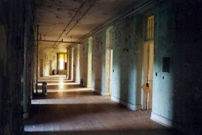 nailhed: The "Asylum Beautiful," Pt. 1