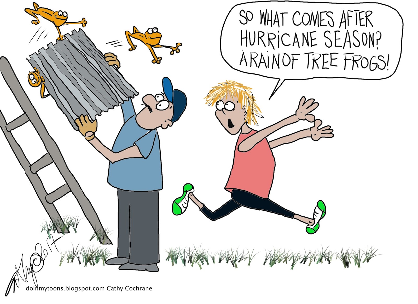 DoinMyToons: Hurricane Shutters