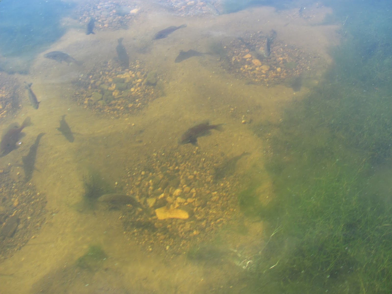 Kayaking the Lakes of South Dakota: Lake Menno - late spring 2013