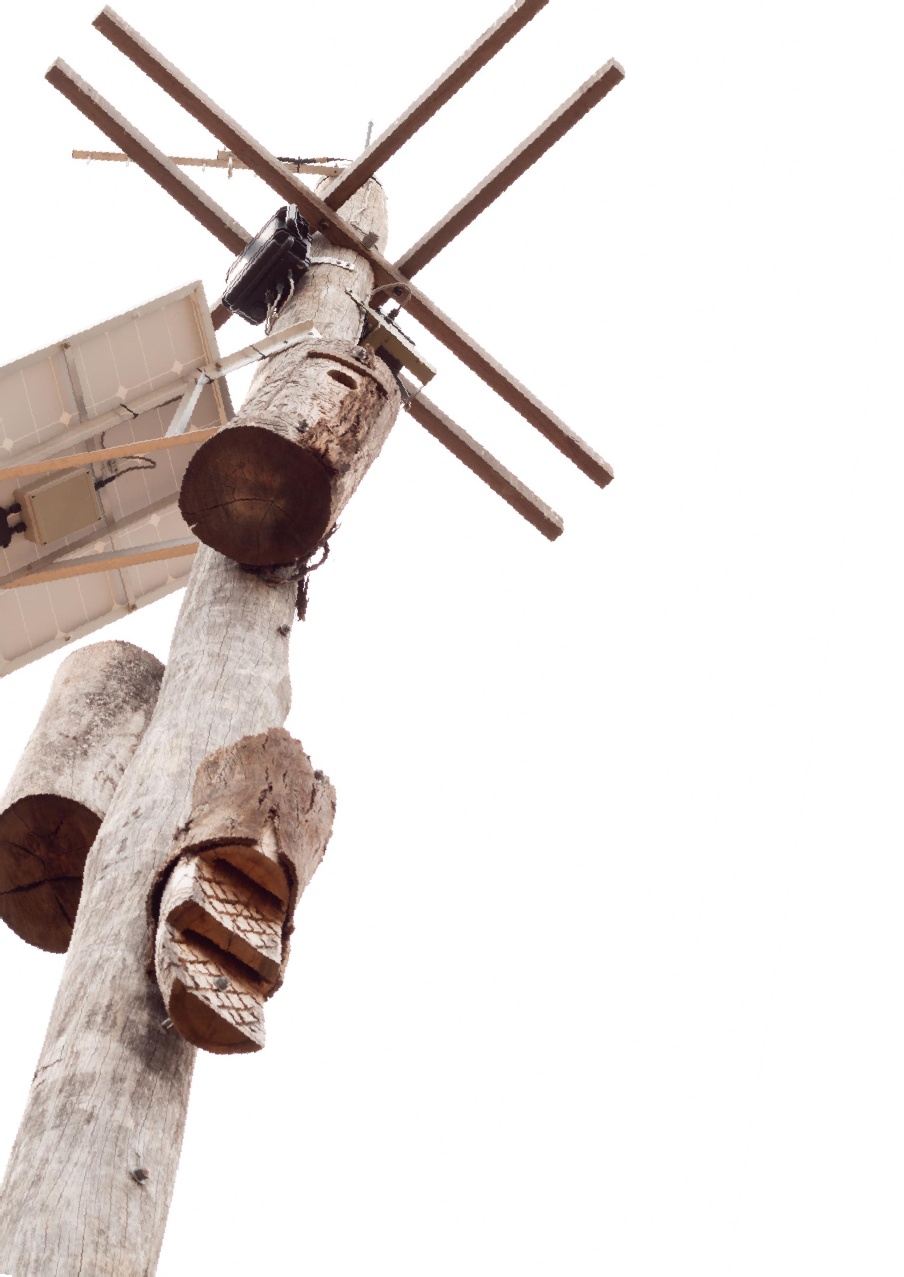 Special Issue of She Ji on Design Knowledge in the Era of Environmental ...