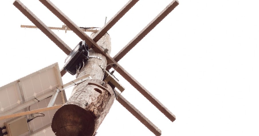 Special Issue of She Ji on Design Knowledge in the Era of Environmental ...