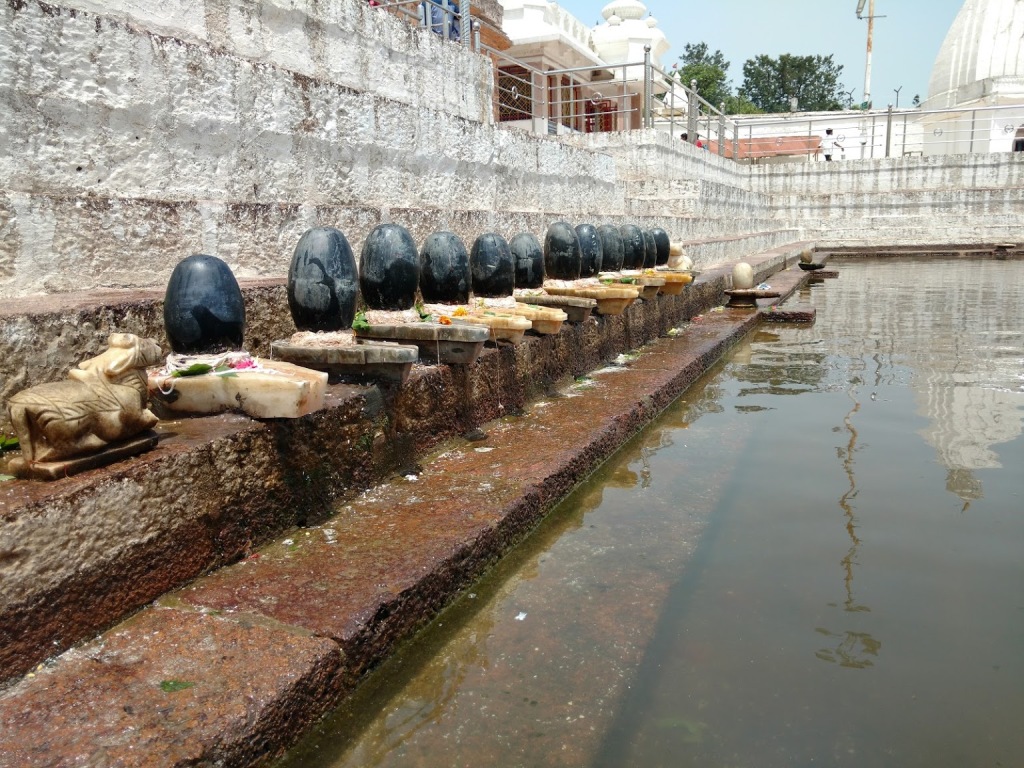 Hindu Temples of India: Narmada Temple, Amarkantak, Madhya Pradesh