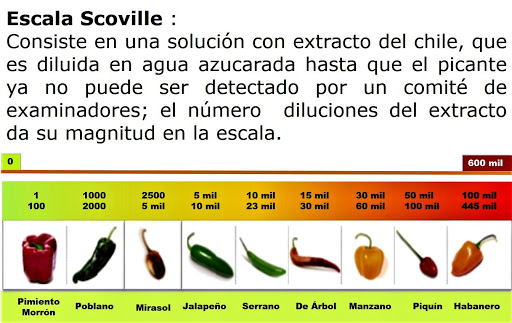 El chile símbolo de identidad mexicana