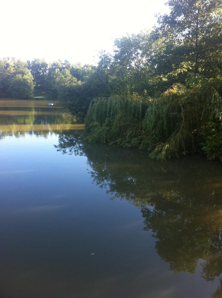 UK fishing venues: Raker Lakes (Highbank Lake) - Venue Review