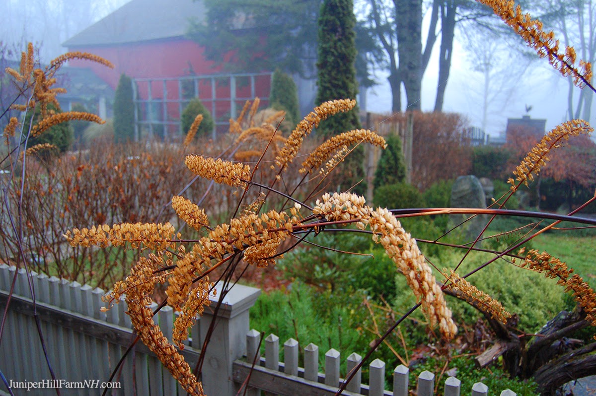 Juniper Hill: So Long, November