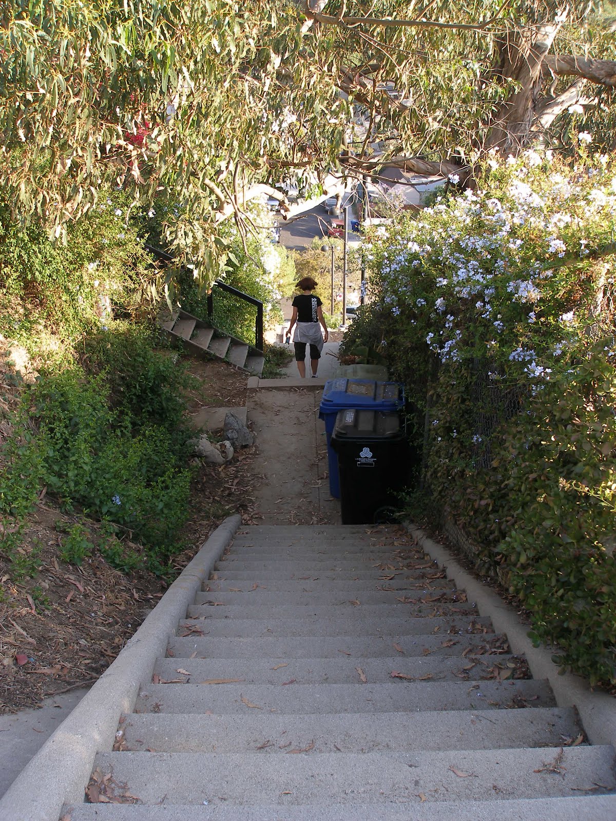 Los Angeles: Climbing the Hidden Stairways: Staircases in Echo Park