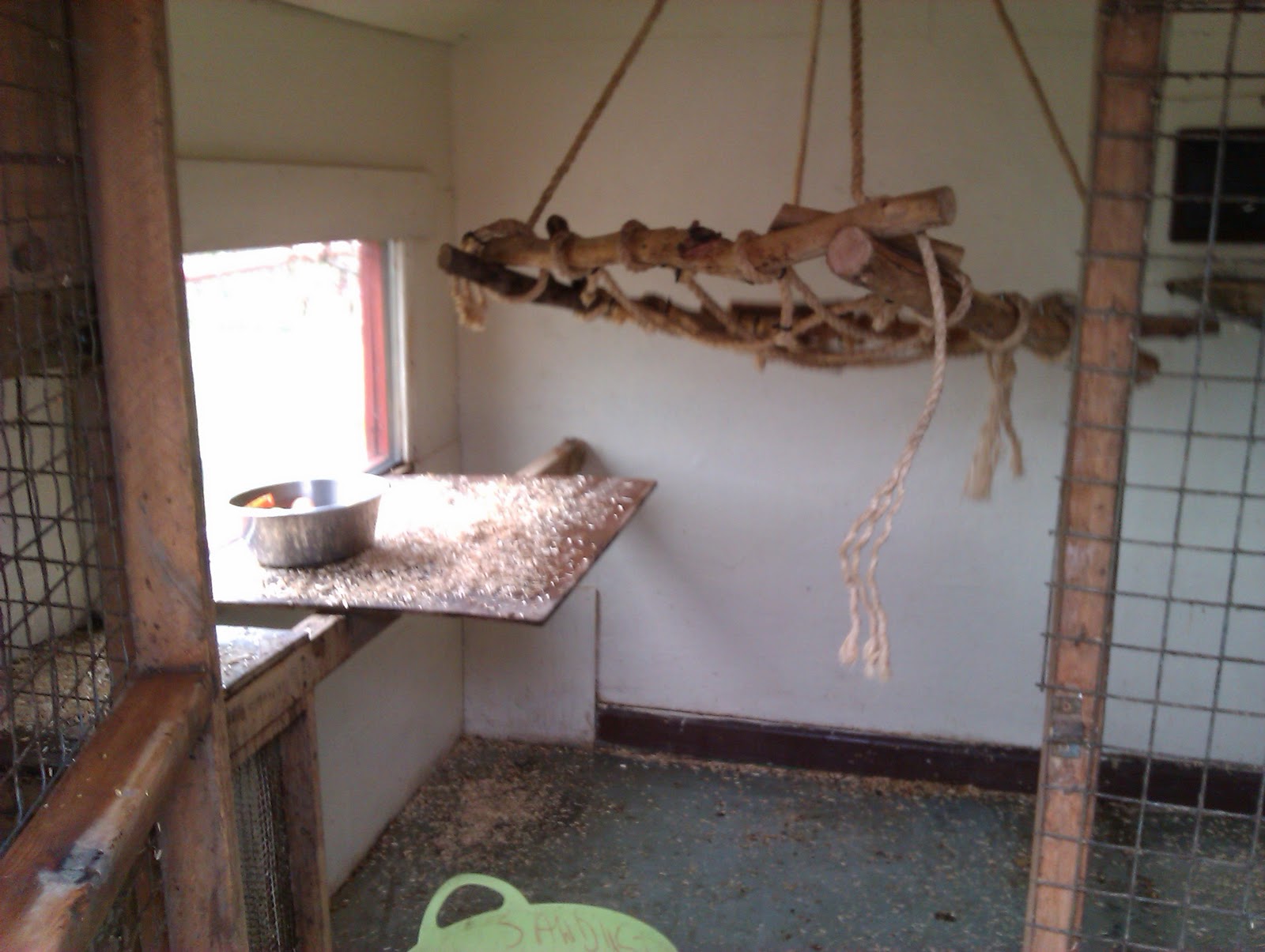 Lewis' Blog: Alan, Alan! - Zoo