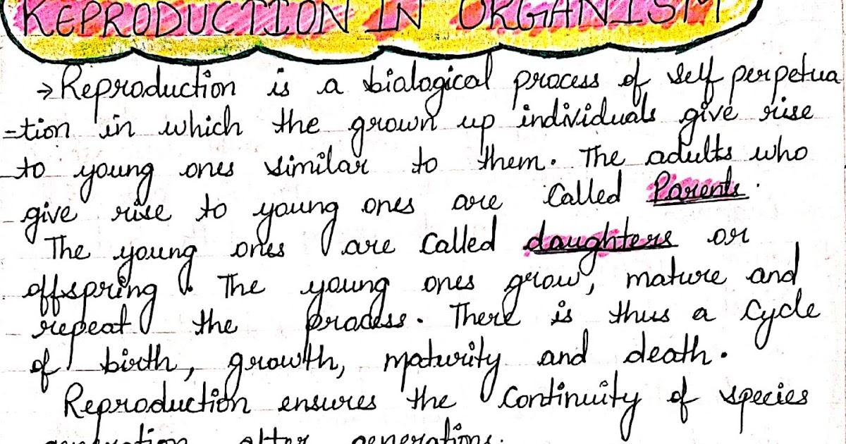 Reproduction in organism 12th class handwritten notes|| cbse || ndjtuition