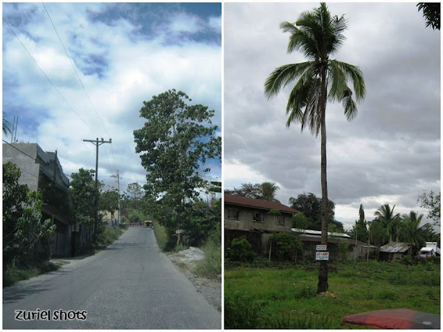 Zuriel Shots: Rodriguez Town