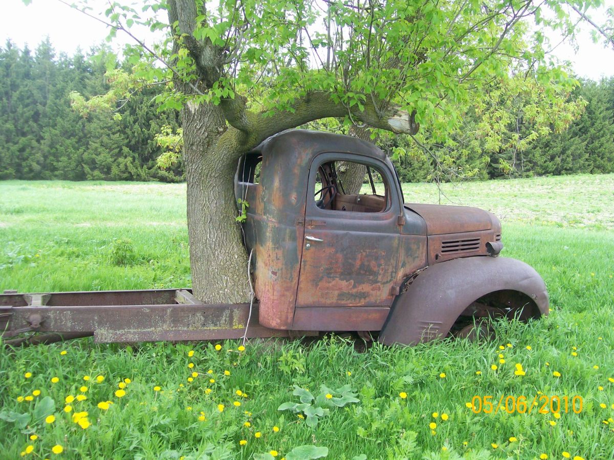 22 Amazing Photographs of Trees Growing Through Classic Cars ~ Vintage ...