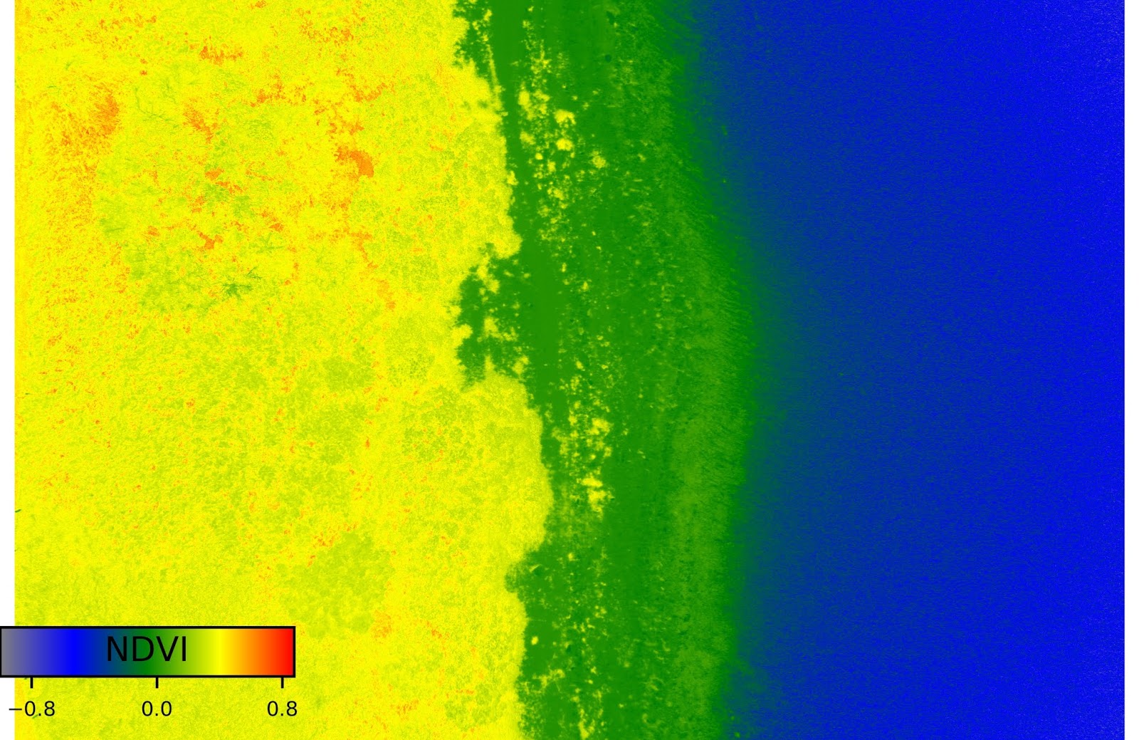 MuonRay: Specialist NDVI Filter Developments for Mavic Pro 2