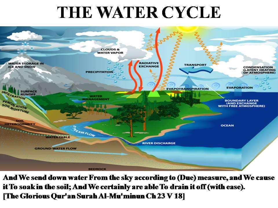 English Quran and Hadith: Water Cycle