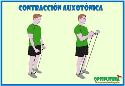 Tipos de contracciones musculares [Entrenamiento personalizado ...