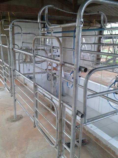 ORDENHADEIRA MECÂNICA (AGROPECUÁRIA)