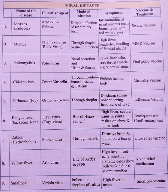 Diseases Explore Different Types Of Disease And Their Causes