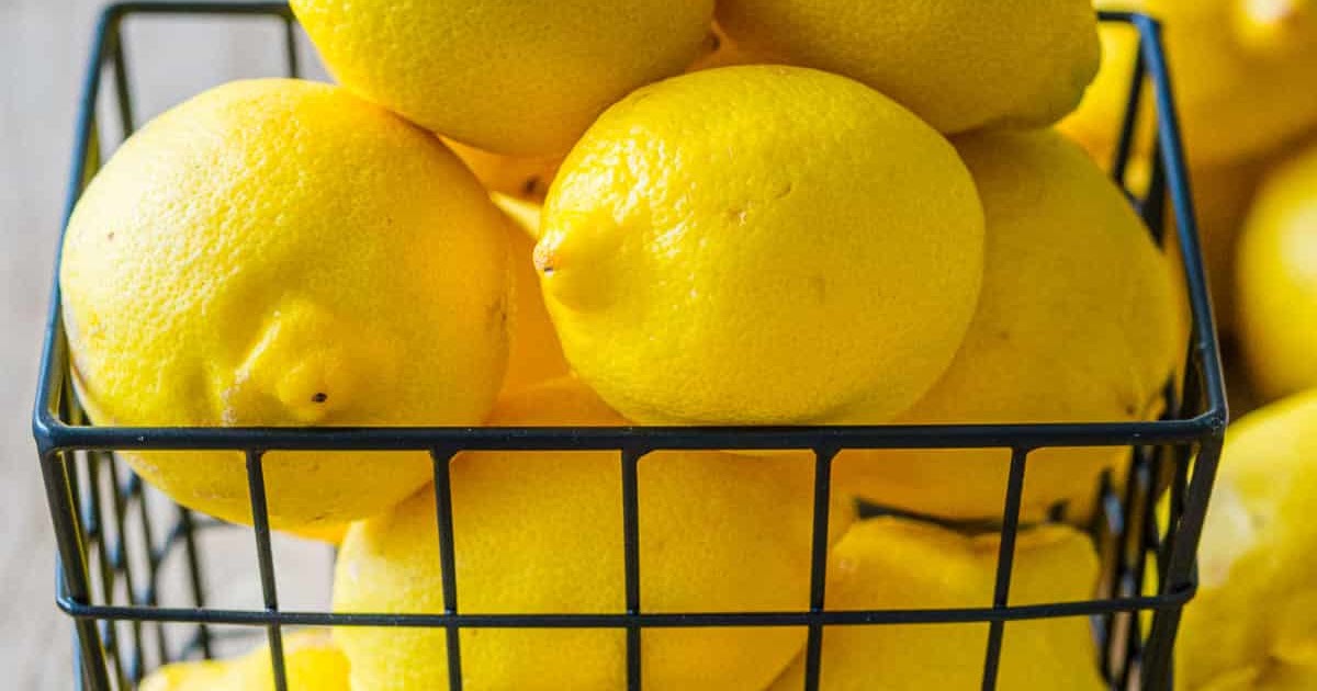 A Lemon-powered Light🍋 (Procedure Text)