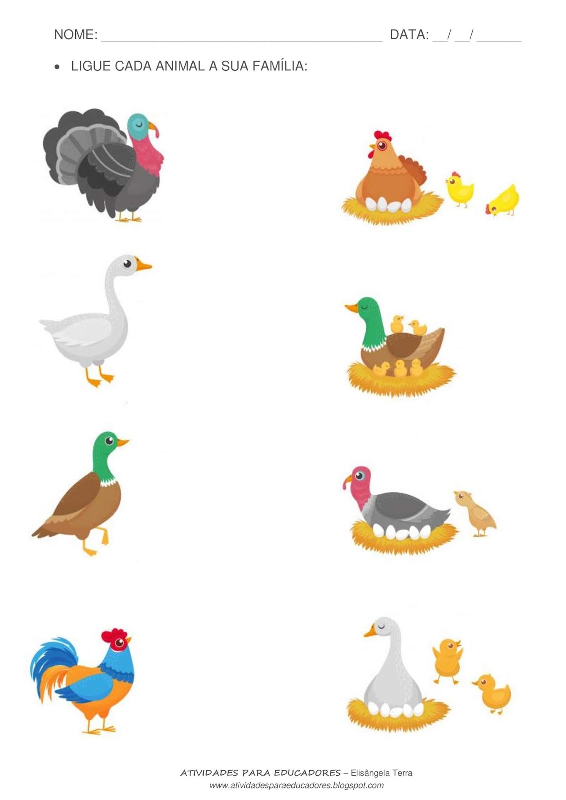 ATIVIDADES PARA EDUCADORES : Classificando animais