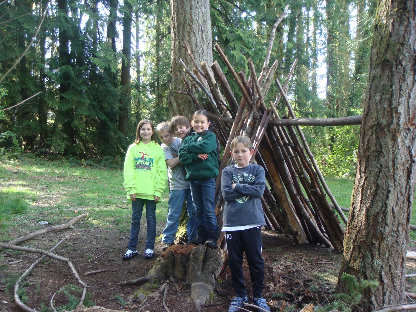 Silverwood Tree House