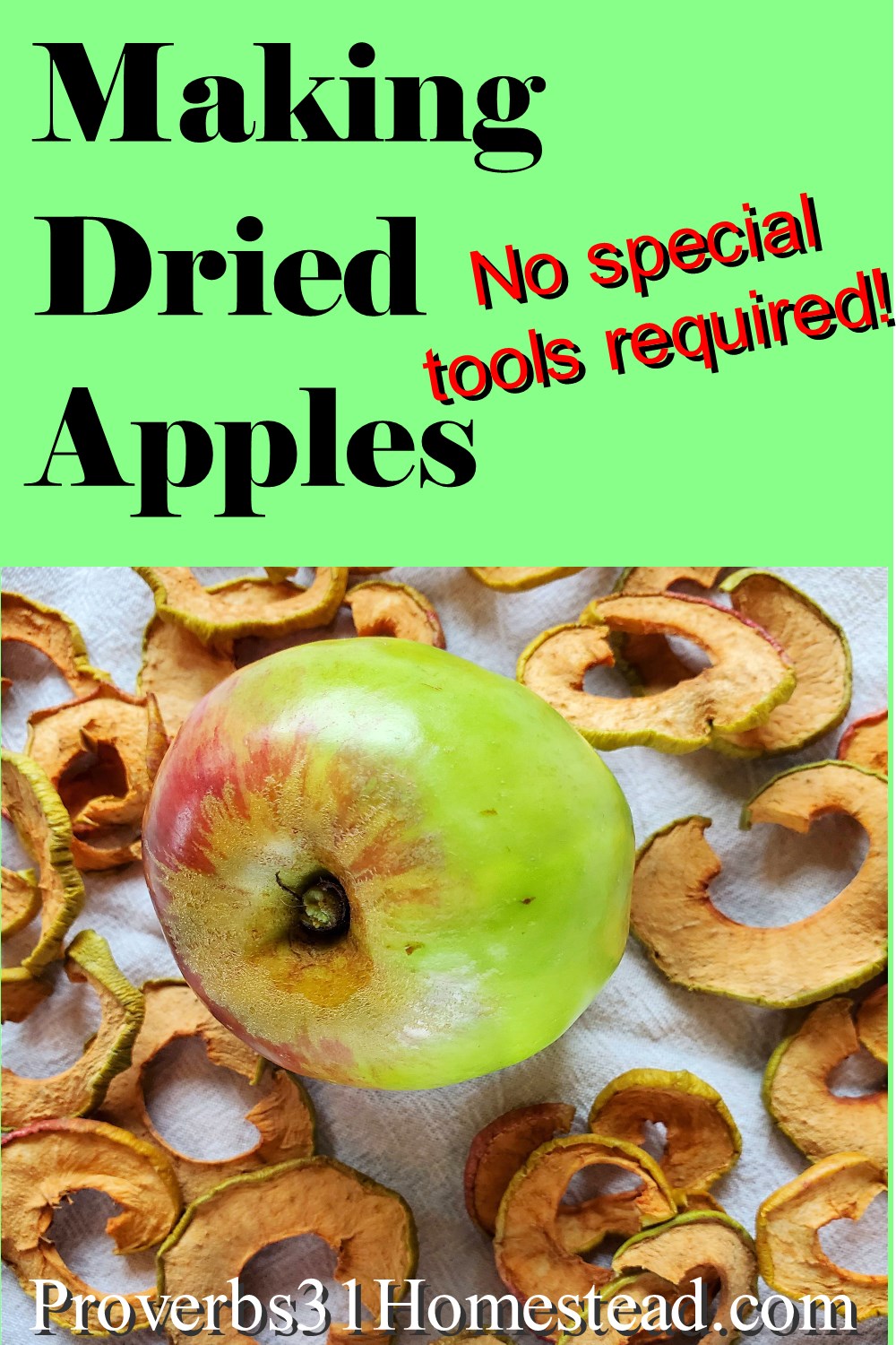 How to Dehydrate Apples - No Special Tools Required! (with video ...