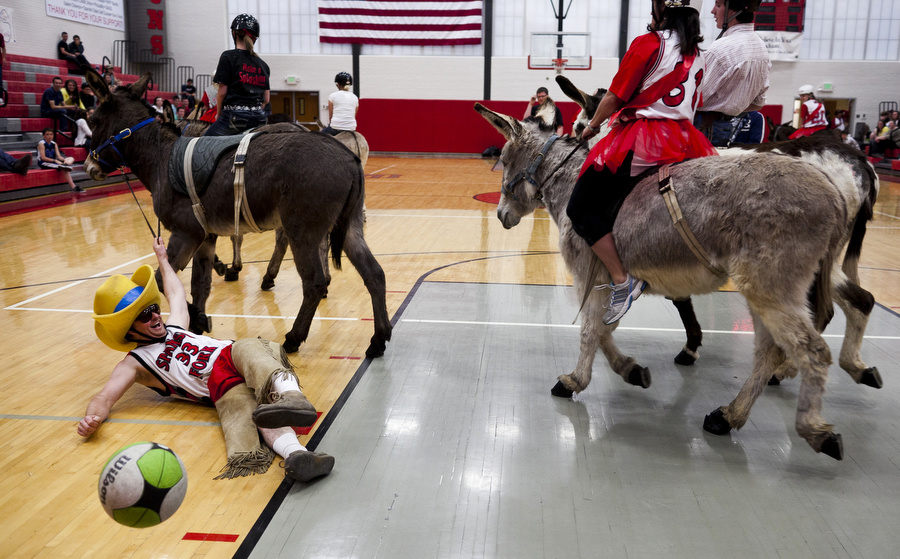 Jordan Stead: Donkey Basketball