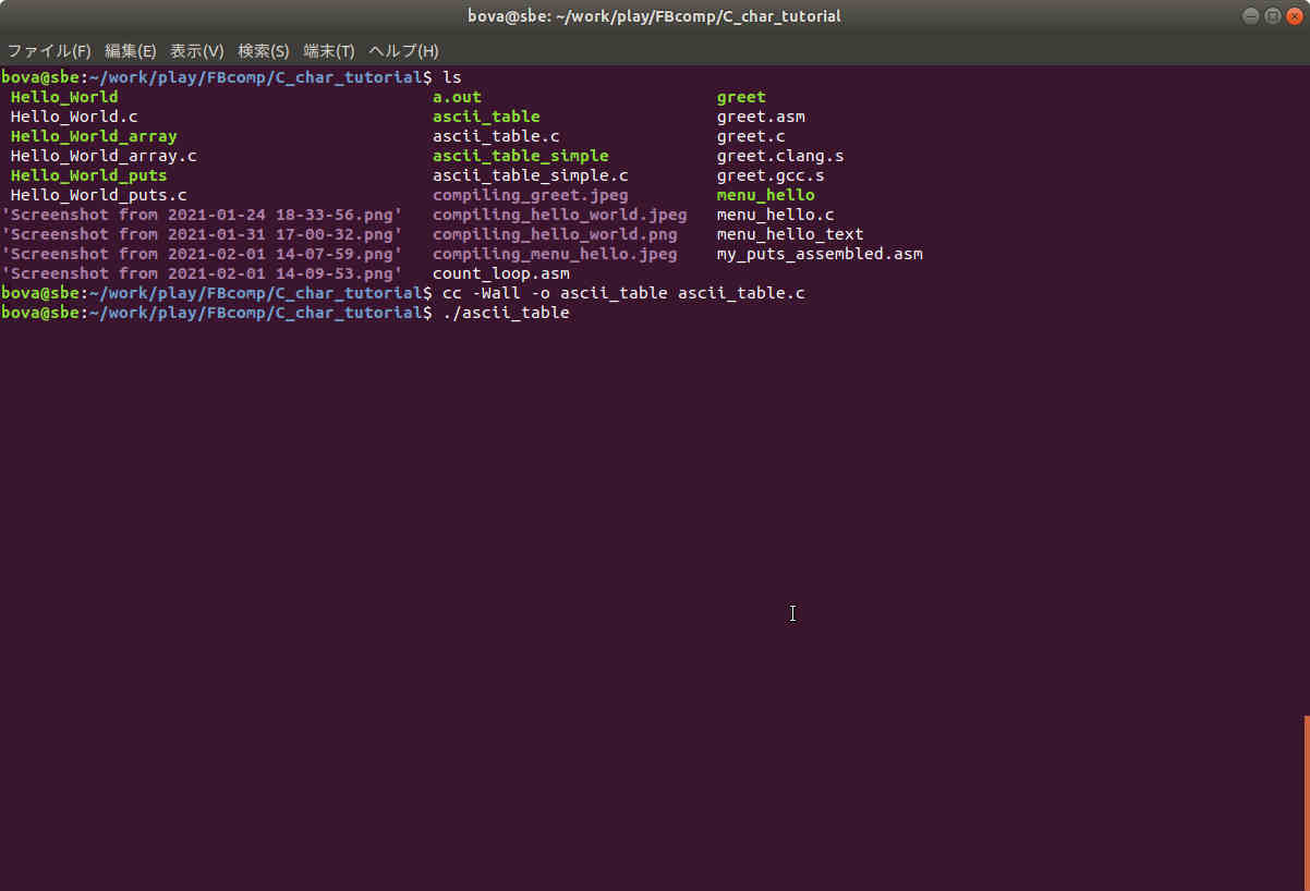 Joel's Programming Fun: Ascii Table In C -- Char Arrays And Char