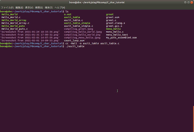 joel's programming fun: ASCII Table in C -- Char Arrays and Char ...