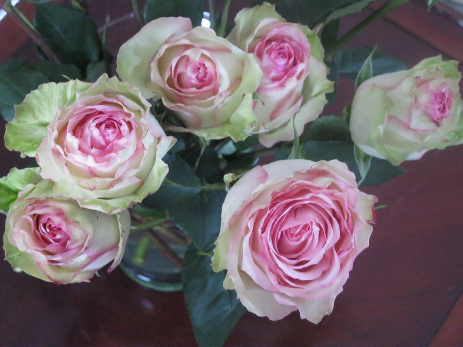 ...Make It With Me: Beautiful Pink and Green Roses.