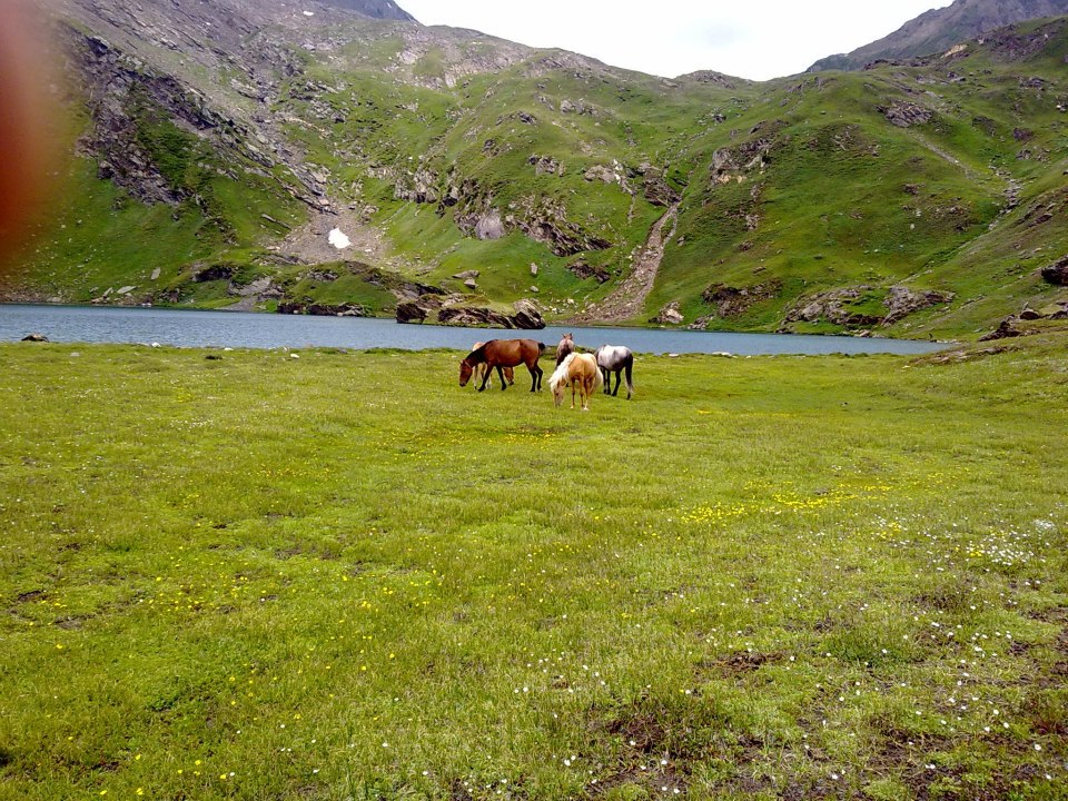 Explore the Beauty of Pakistan: Suppat Valley Kohistan KPK Pakistan