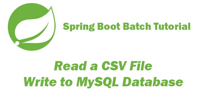 Read a CSV File and write to MySQL Database with Spring Boot Batch ...