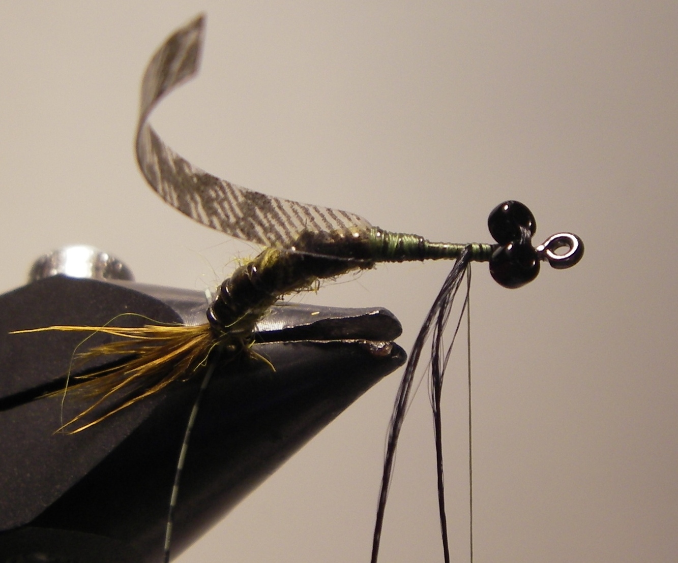 This River is Wild: The Fly That Changed The Game