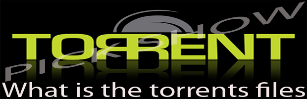 Torrent Section Part 1 : What is the torrent | !!![Pick Show]!!!
