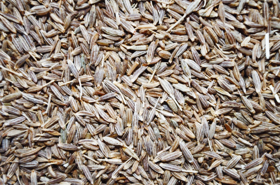 The health benefits of cumin ~ Evergreen Blog Post