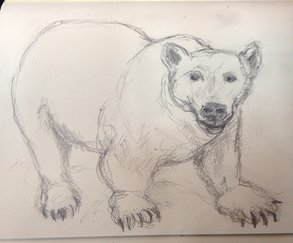 margaret-cooter: Drawing Tuesday - endangered species