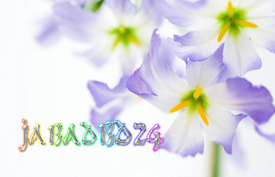 Add Picture In Pendrives Background Windows XP JabadBD24 add-picture-in-pendrives-background-windows-xp-jabadbd24