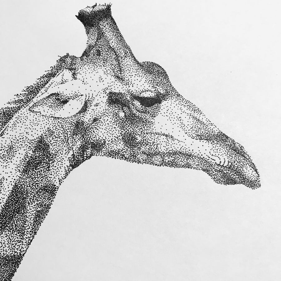 Design Stack: A Blog about Art, Design and Architecture: Animals in ...