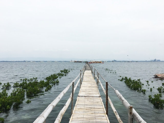 Olango Island - Things To Do and How To Get There