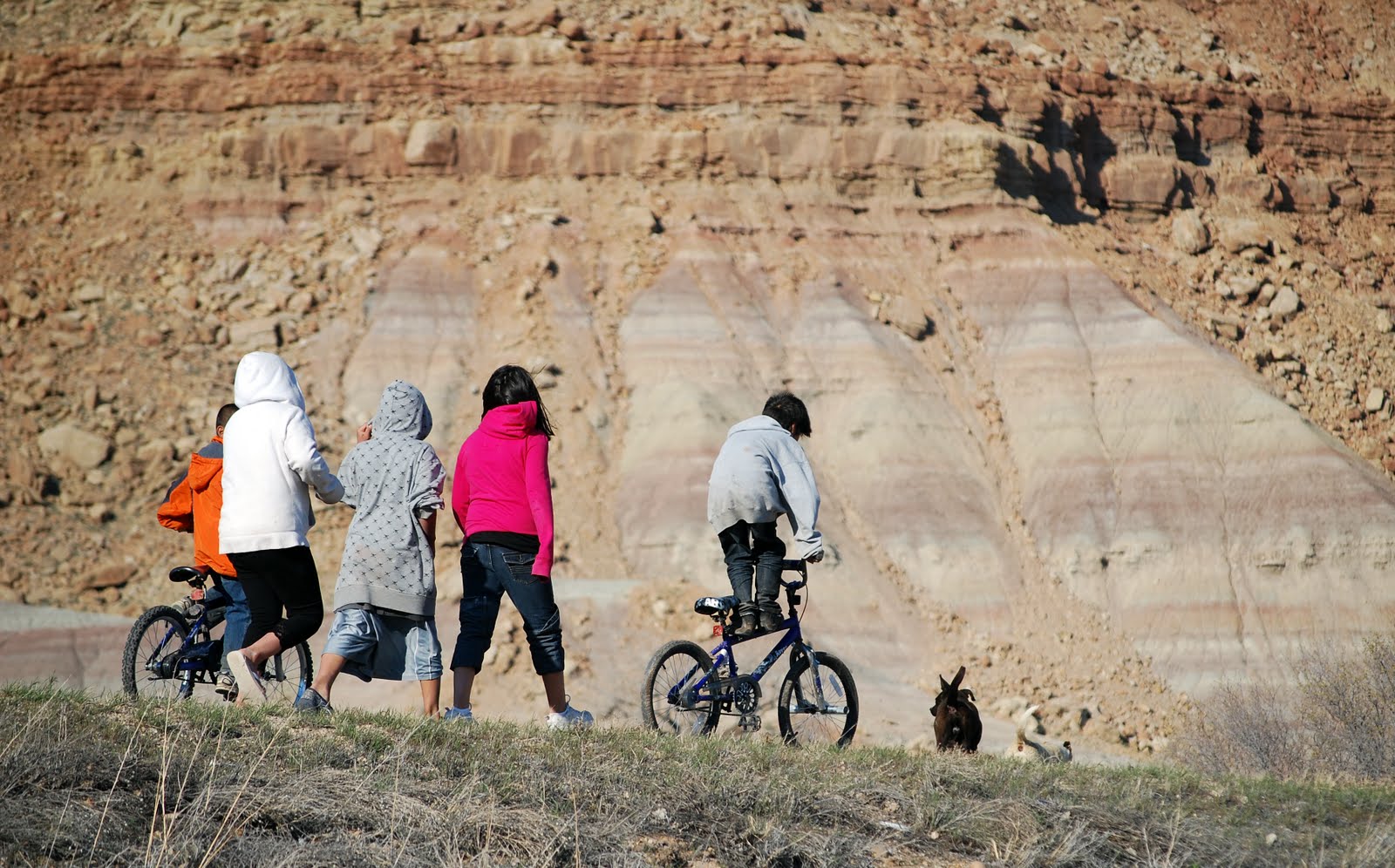 Jennifer Orr: Northern Ute Tribe Bear Dance, Randlett, UT 2011